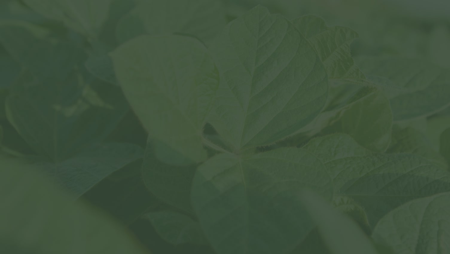 CO/OP Community Table | Restaurant in Huntsville